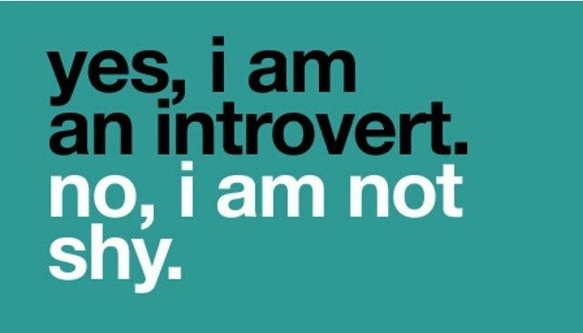 Embracing the Quiet Strength: How Introverts Excel as Leaders Embracing the Quiet Strength: How Introverts Excel as Leaders