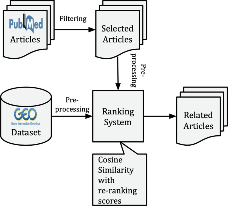 Correlation Chronicles: Navigating Data Seas to Uncover the Most ... Correlation Chronicles: Navigating Data Seas to Uncover the Most ...