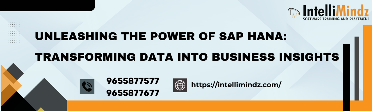 Unleashing the Power of SAP HANA: Transforming Data into Business Insights Unleashing the Power of SAP HANA: Transforming Data into Business Insights