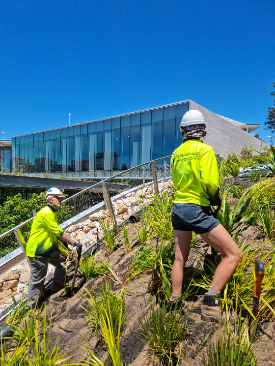 Revitalizing Landscapes and Building Lasting Impressions: How ... Revitalizing Landscapes and Building Lasting Impressions: How ...