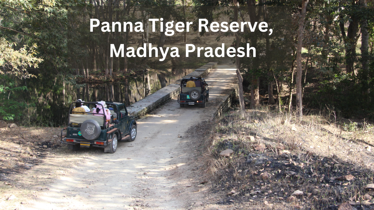 A conservation model worth emulating A conservation model worth emulating
