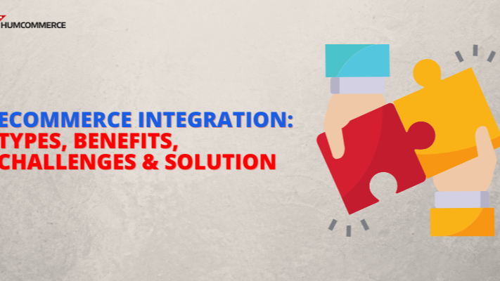 eCommerce Integration: Types, Benefits, Challenges & Solution eCommerce Integration: Types, Benefits, Challenges & Solution