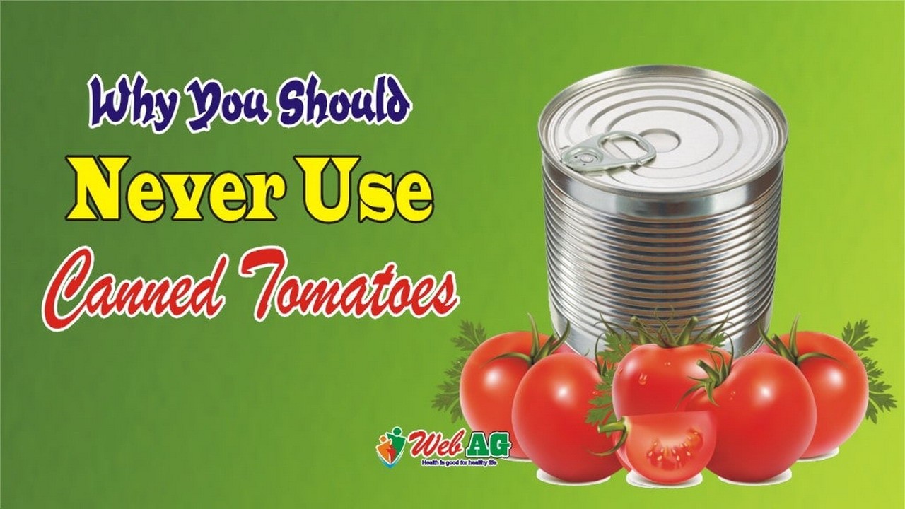 Why You Should Never Use Canned Tomatoes Why You Should Never Use Canned Tomatoes