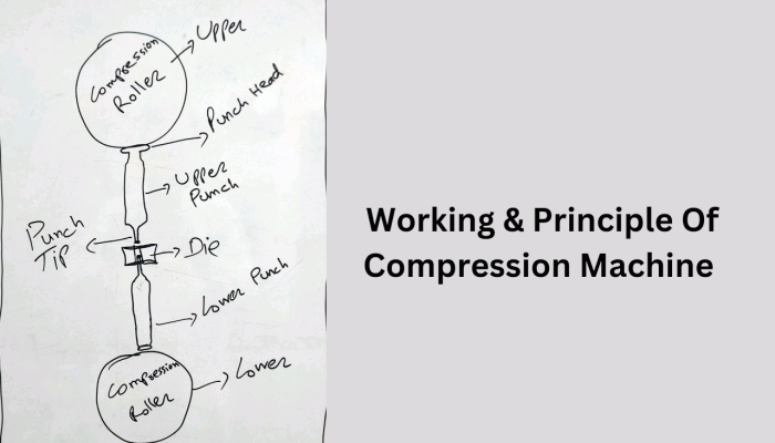 Tablet Compression Principle Tablet Compression Principle