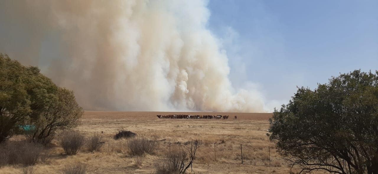 The impact of veld fires on food production The impact of veld fires on food production
