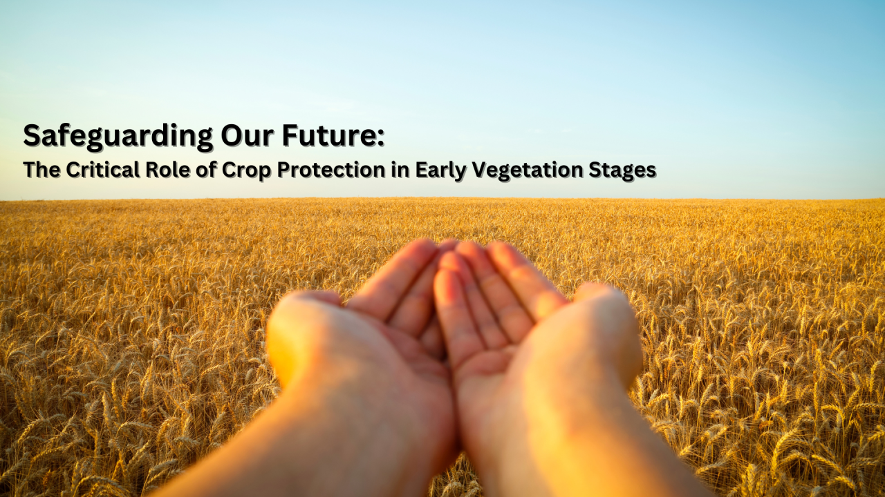 Safeguarding Our Future: The Critical Role of Crop Protection in Early ... Safeguarding Our Future: The Critical Role of Crop Protection in Early ...