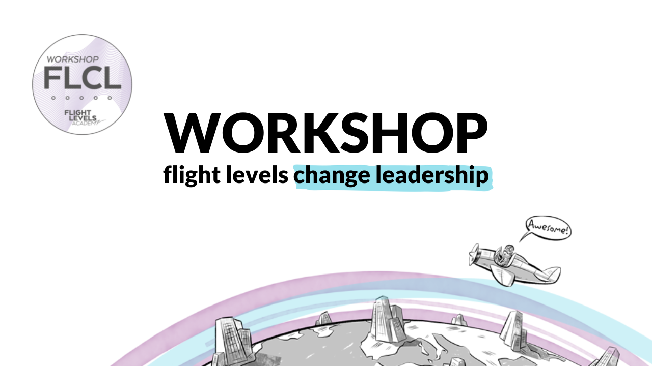 Workshop: Flight levels change leadership Workshop: Flight levels change leadership