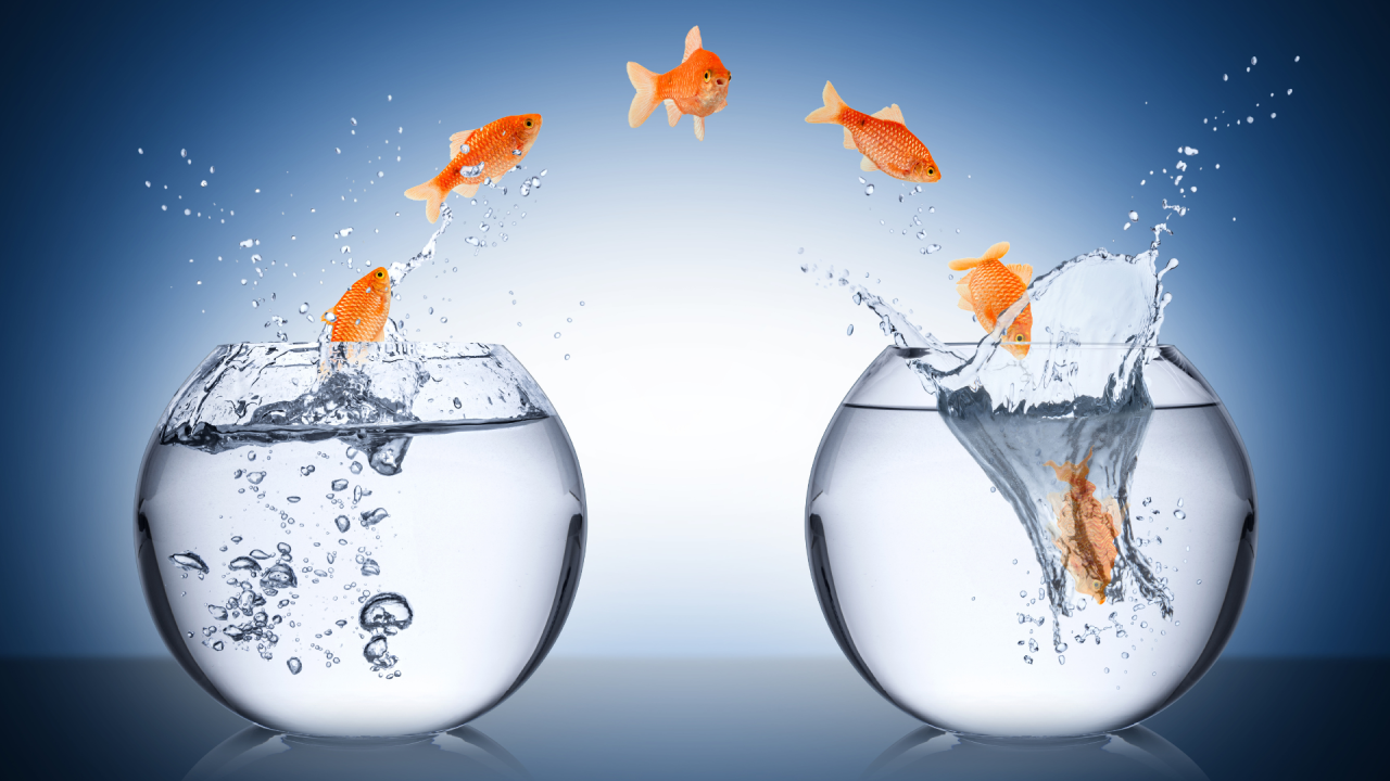 Embracing Change In The Workplace Embracing Change In The Workplace