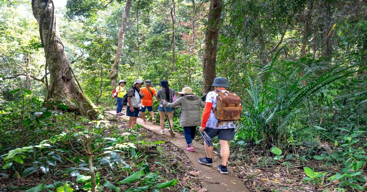 Importance of Ecotourism in the Tourism Industry Importance of Ecotourism in the Tourism Industry