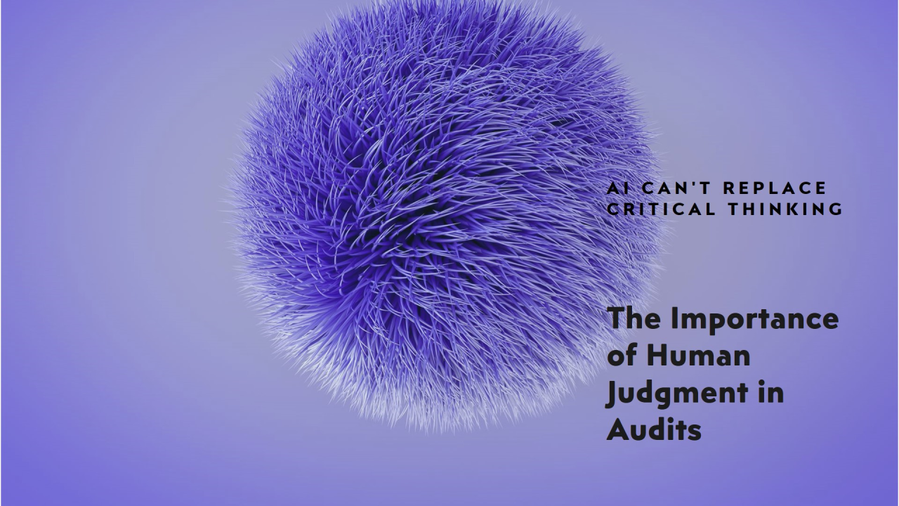 The Importance of Human Judgment in Audits The Importance of Human Judgment in Audits
