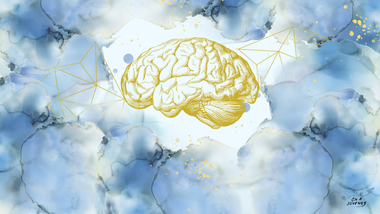 Navigating the Pathways of Focused Knowledge Navigating the Pathways of Focused Knowledge