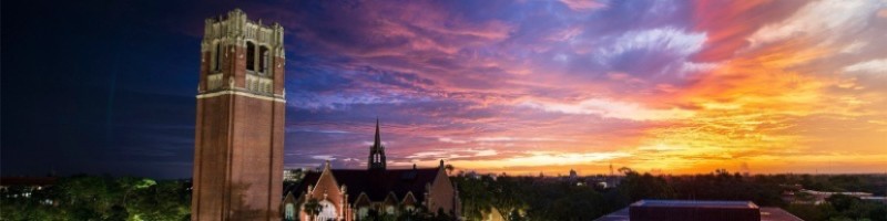Jessica Borowski - Teaching Assistant - University of Florida ... Jessica Borowski - Teaching Assistant - University of Florida ...