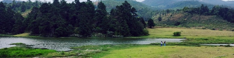 Sakshi Srivastava on LinkedIn: Differences between KPIs and metrics Sakshi Srivastava on LinkedIn: Differences between KPIs and metrics
