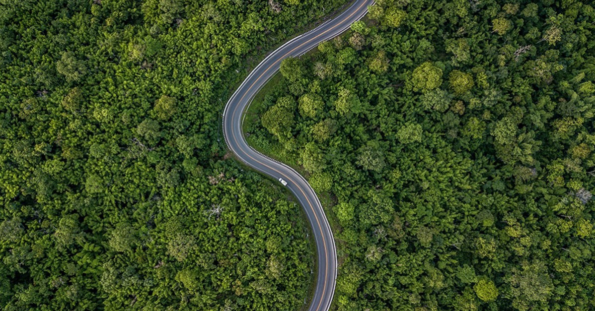 abrdn on LinkedIn: Naturally tackling climate change abrdn on LinkedIn: Naturally tackling climate change