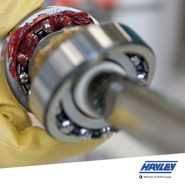 Hayley Group Limited on LinkedIn: Shell Gadus S3 V220C 2 Grease Hayley Group Limited on LinkedIn: Shell Gadus S3 V220C 2 Grease