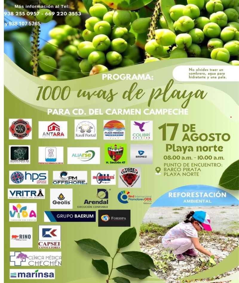 RAUL ALBERTO PENICHE MENDOZA en LinkedIn: CAMPAÑA DE REFORESTACION 17 ... RAUL ALBERTO PENICHE MENDOZA en LinkedIn: CAMPAÑA DE REFORESTACION 17 ...