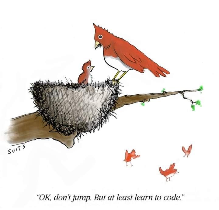 Md Taufique Maeen Uddin on LinkedIn: #codingforkids #coding Md Taufique Maeen Uddin on LinkedIn: #codingforkids #coding