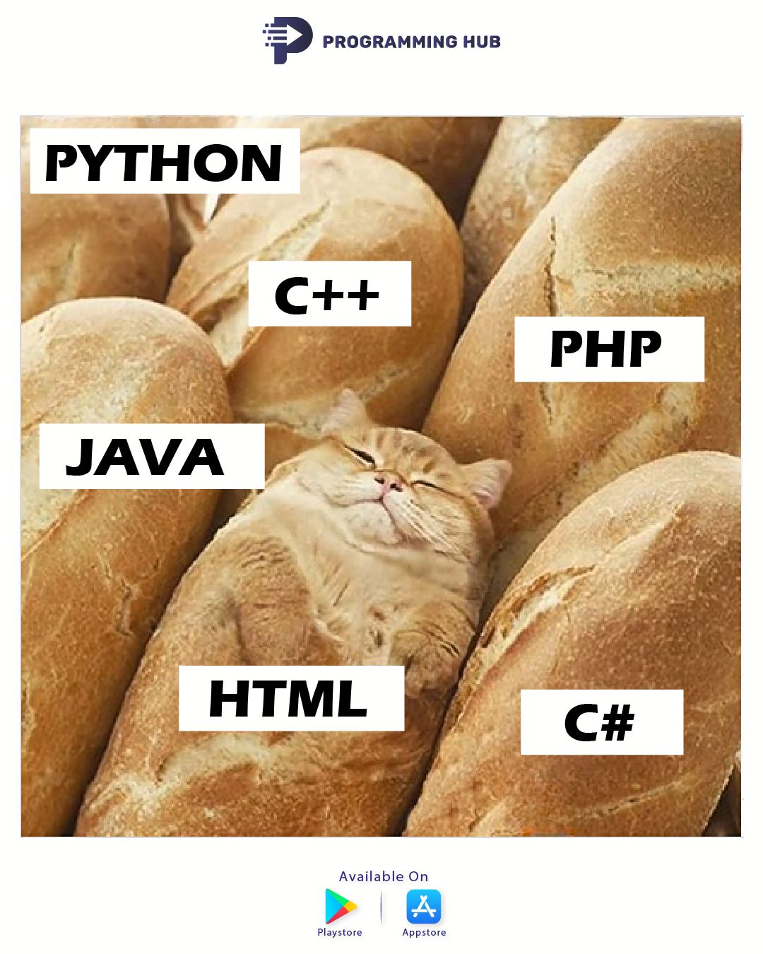 Programming Hub on LinkedIn: #codebread #programminglanguages #python # ... Programming Hub on LinkedIn: #codebread #programminglanguages #python # ...