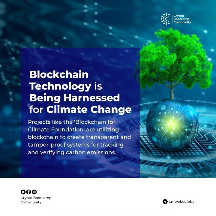 Crypto Bootcamp Community on LinkedIn: Blockchain plays an important ... Crypto Bootcamp Community on LinkedIn: Blockchain plays an important ...