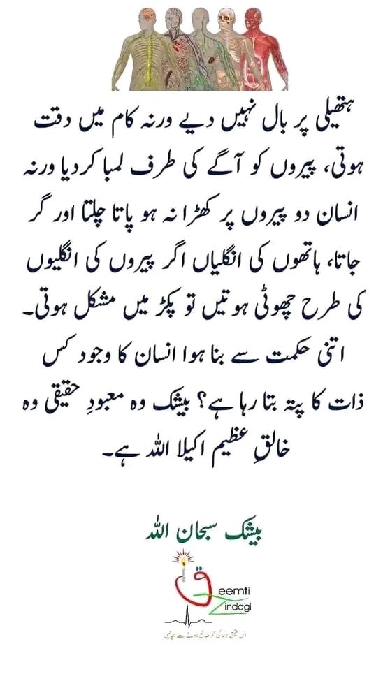 Muhammad Shabeer posted on LinkedIn Muhammad Shabeer posted on LinkedIn