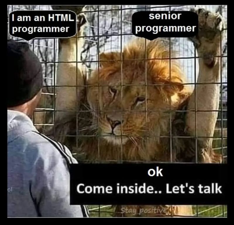 Samson O. Sanyaolu on LinkedIn: #webdevelopment #programmer #coding Samson O. Sanyaolu on LinkedIn: #webdevelopment #programmer #coding