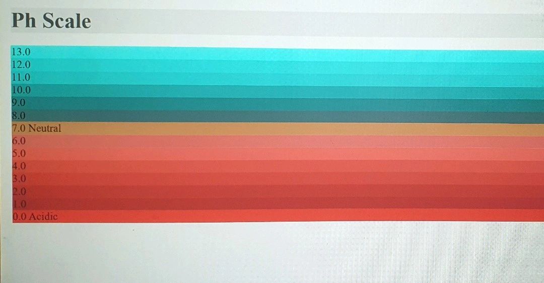 Ayesha Ashraf on LinkedIn: #webdev #html #css #phscale #innovation Ayesha Ashraf on LinkedIn: #webdev #html #css #phscale #innovation