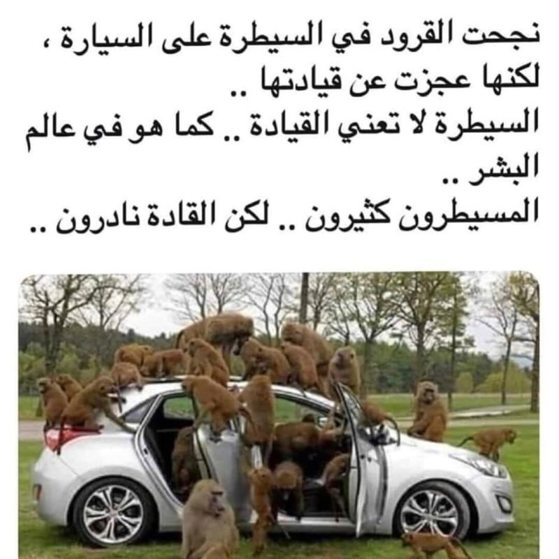 Mina H. Gendy posted on LinkedIn Mina H. Gendy posted on LinkedIn