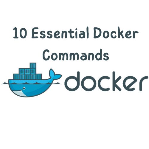 AiCore on LinkedIn: 10 Essential Docker commands you should know 1️⃣ ... AiCore on LinkedIn: 10 Essential Docker commands you should know 1️⃣ ...