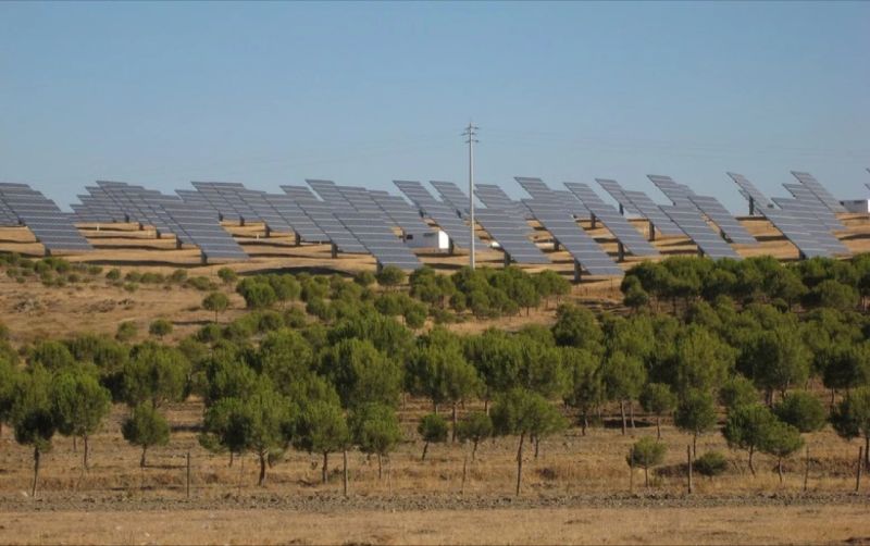 Mulle (Mulualem Tesfaye Wami) on LinkedIn: #nanosun #future #energy # ... Mulle (Mulualem Tesfaye Wami) on LinkedIn: #nanosun #future #energy # ...