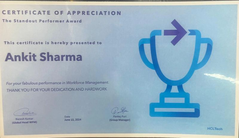 Ankit Sharma on LinkedIn: Standout Performer Award Ankit Sharma on LinkedIn: Standout Performer Award