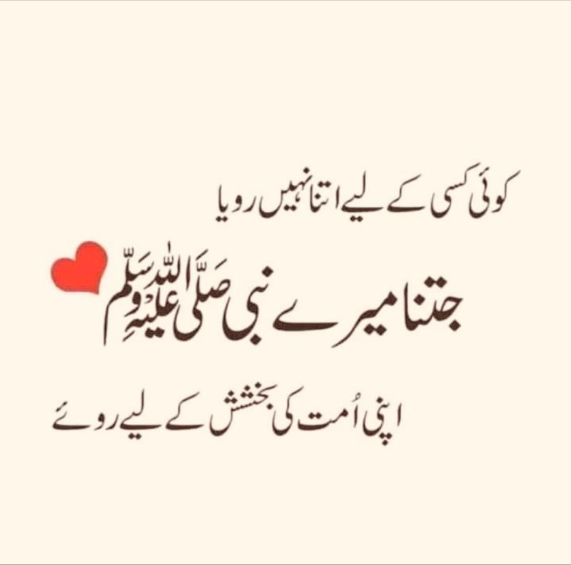 Sehrish qasim posted on LinkedIn Sehrish qasim posted on LinkedIn