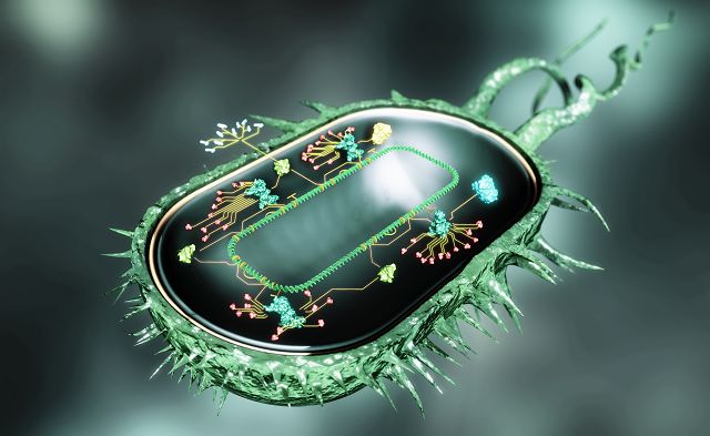 World Industry News on LinkedIn: Synthetic Biology Market | Growing at ... World Industry News on LinkedIn: Synthetic Biology Market | Growing at ...