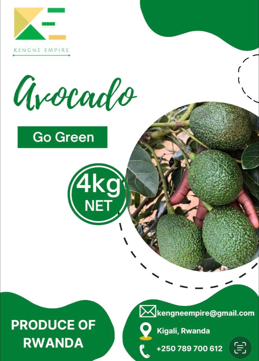 KENGNE EMPIRE Limited on LinkedIn: #avocado #rwanda KENGNE EMPIRE Limited on LinkedIn: #avocado #rwanda