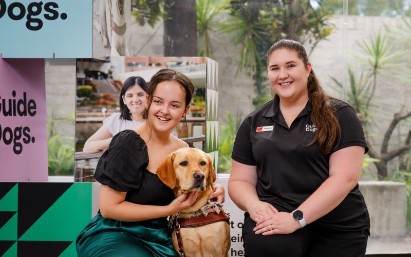 Guide Dogs SA/NT on LinkedIn: #guidedogs #hiring #adelaide # ... Guide Dogs SA/NT on LinkedIn: #guidedogs #hiring #adelaide # ...