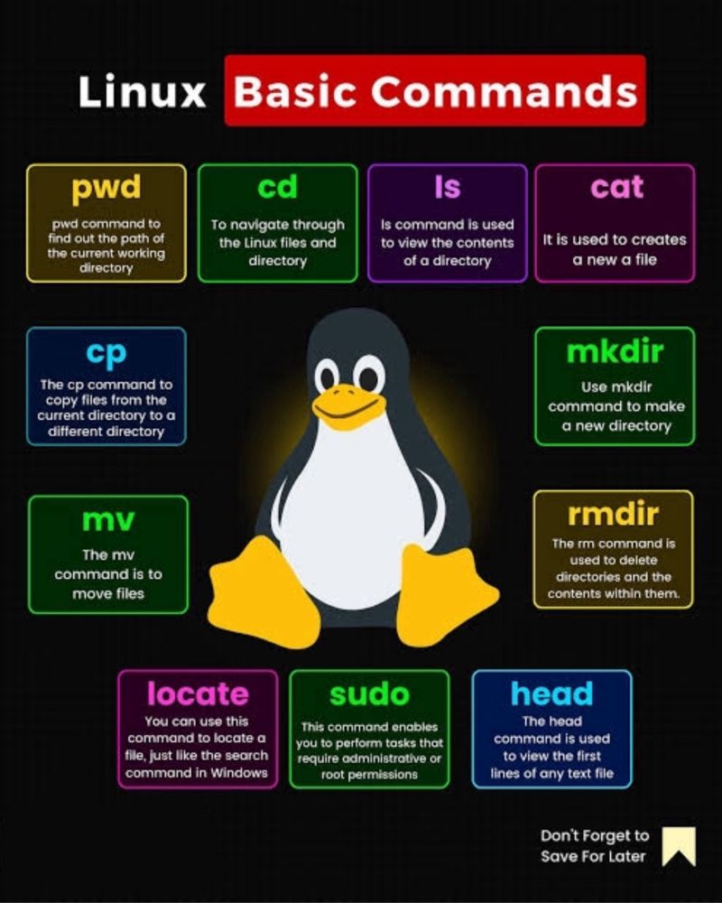 Juber Sheikh on LinkedIn: 🚀 Exploring Linux Commands and File Systems 🖥 ... Juber Sheikh on LinkedIn: 🚀 Exploring Linux Commands and File Systems 🖥 ...