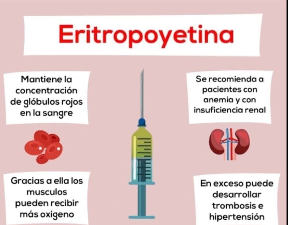 Yendrys Linares en LinkedIn: La eritropoyetina (EPO) es una hormona ... Yendrys Linares en LinkedIn: La eritropoyetina (EPO) es una hormona ...