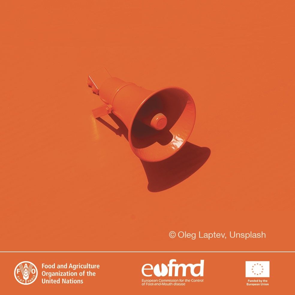 EuFMD on LinkedIn: #fmd EuFMD on LinkedIn: #fmd