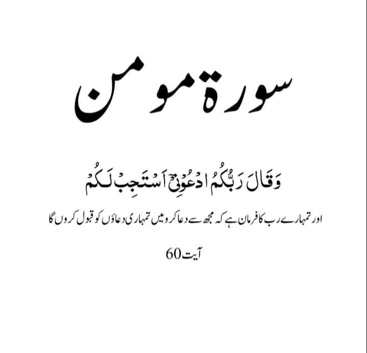 Neelofar Naveed posted on LinkedIn Neelofar Naveed posted on LinkedIn