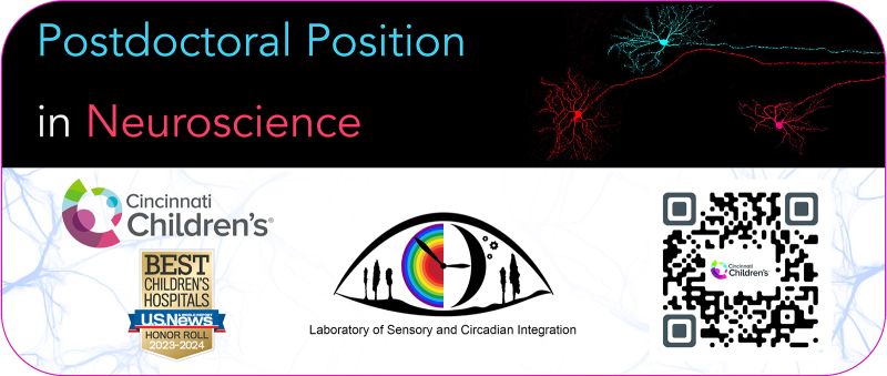 jobRxiv on LinkedIn: Postdoctoral Position in Neuroscience jobRxiv on LinkedIn: Postdoctoral Position in Neuroscience