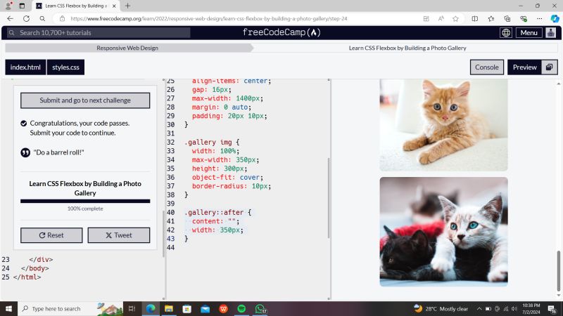 Kosisochukwu Chibuike on LinkedIn: #coding #journey #freecodecamp #html ... Kosisochukwu Chibuike on LinkedIn: #coding #journey #freecodecamp #html ...