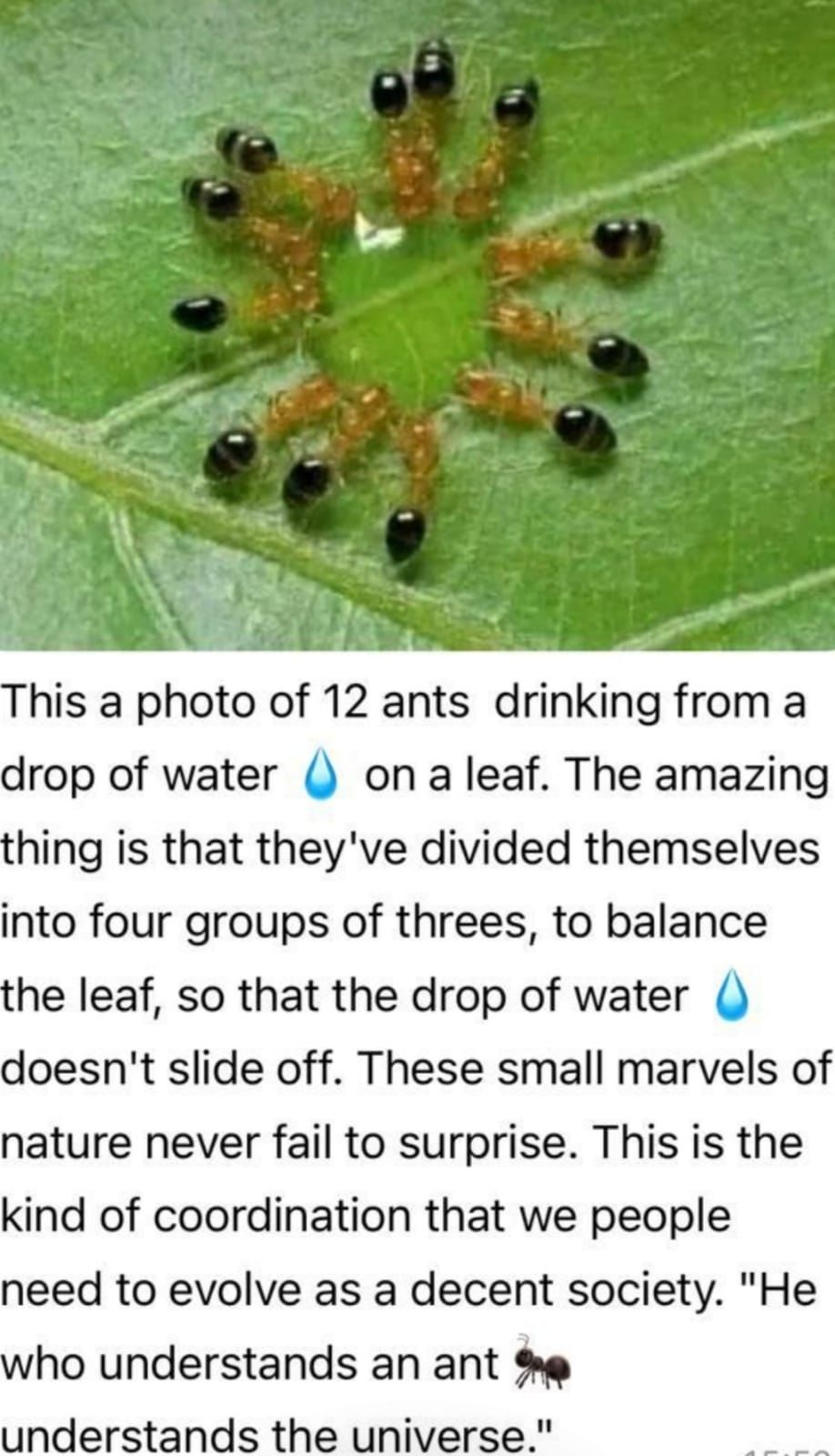 M S Hussain Khan on LinkedIn: TEAM WORK. M S Hussain Khan on LinkedIn: TEAM WORK.
