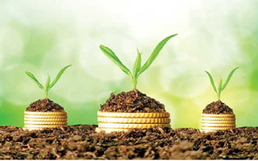 Imran Ahmed Mirza - FPFA,FCIS,MBA on LinkedIn: The concept of green ... Imran Ahmed Mirza - FPFA,FCIS,MBA on LinkedIn: The concept of green ...