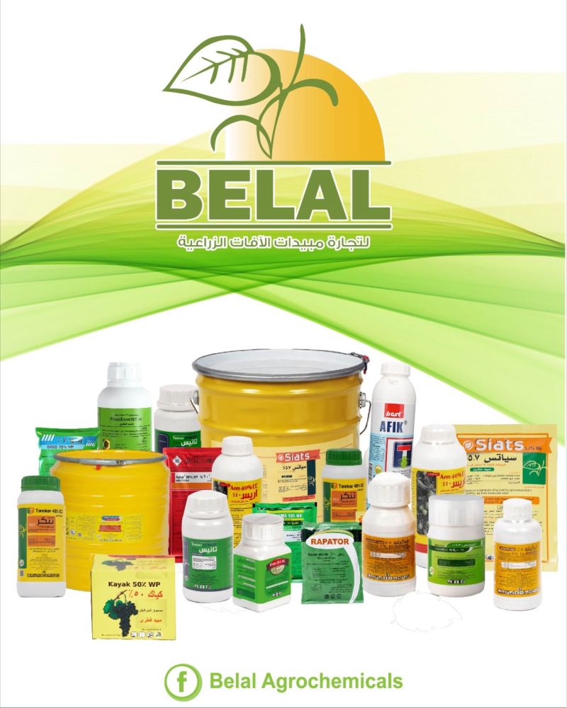 Mohamed Belal posted on LinkedIn Mohamed Belal posted on LinkedIn