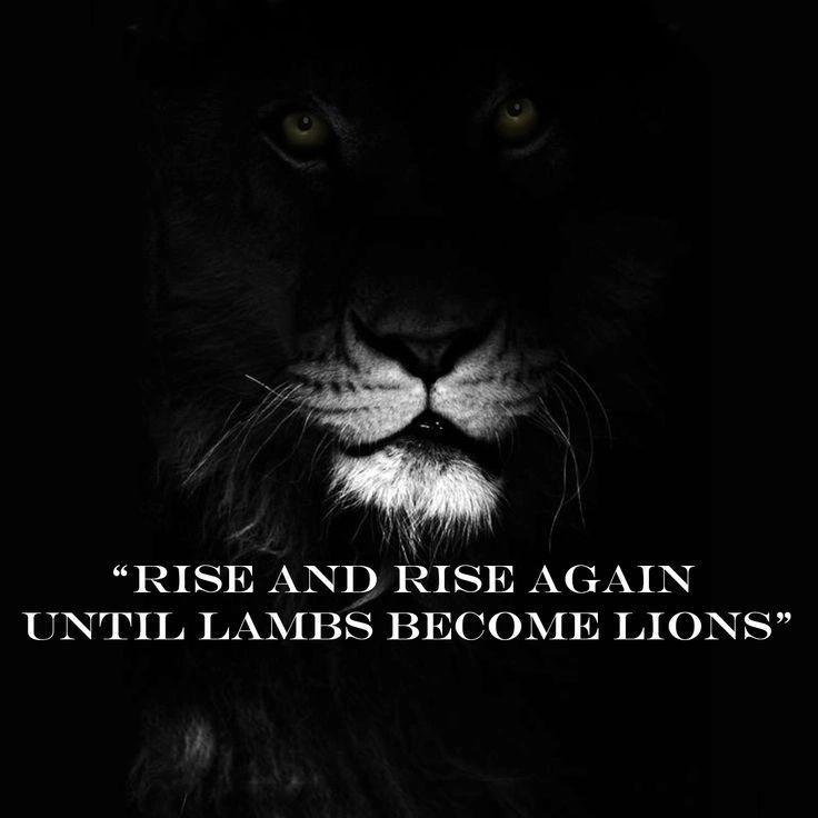 Bhaskar Sharma on LinkedIn: if failing is a step , then trying again is ... Bhaskar Sharma on LinkedIn: if failing is a step , then trying again is ...