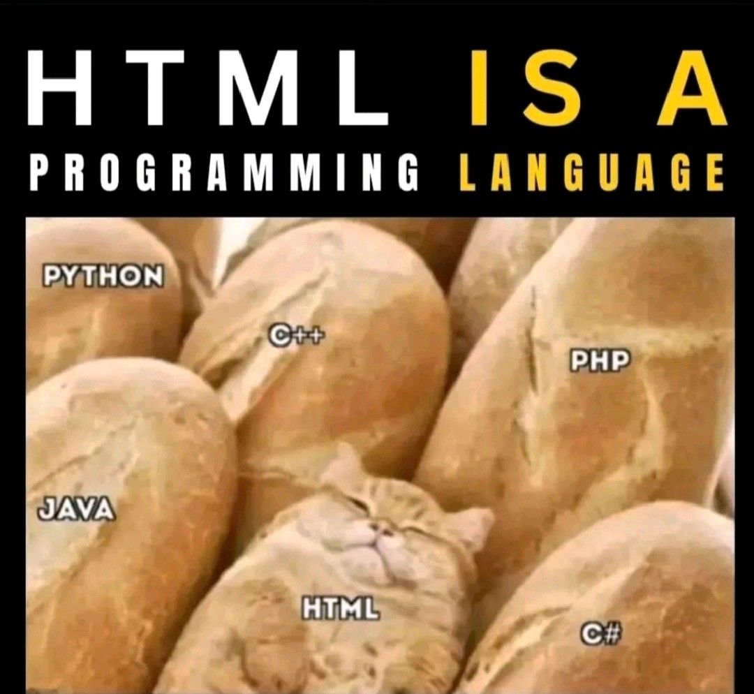 Rahul Choudhary on LinkedIn: #programming #language #html #c #python3 # ... Rahul Choudhary on LinkedIn: #programming #language #html #c #python3 # ...