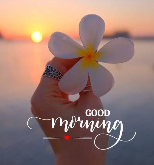 Archita Banerjee on LinkedIn: #good_morning Archita Banerjee on LinkedIn: #good_morning