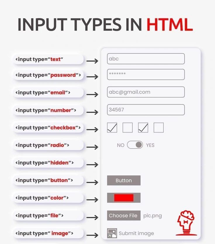 Shifa Azeem on LinkedIn: #html #coding #learning #programming #coder # ... Shifa Azeem on LinkedIn: #html #coding #learning #programming #coder # ...
