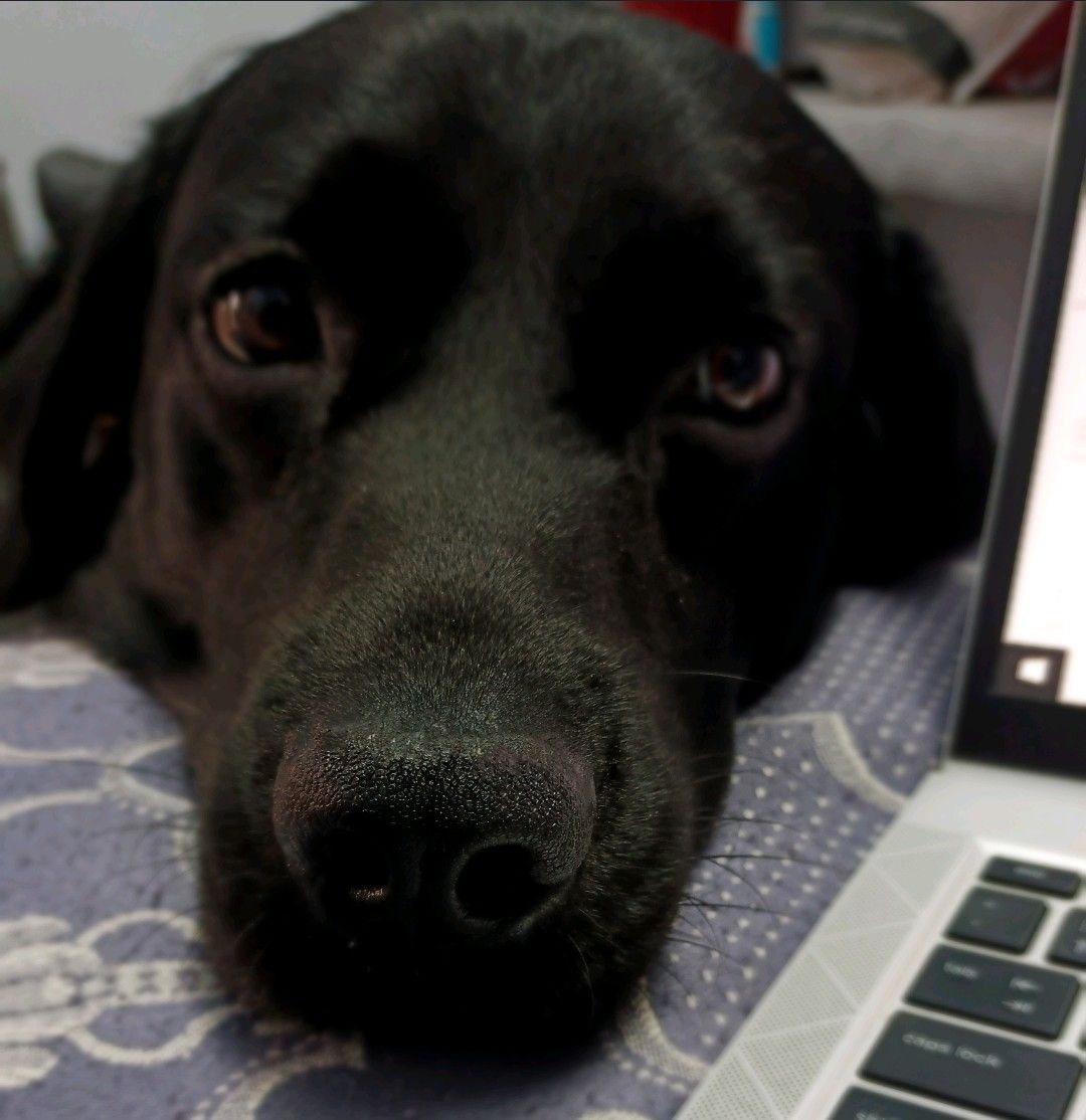 Diksha Sharma on LinkedIn: #wfh #sqldeveloper Diksha Sharma on LinkedIn: #wfh #sqldeveloper