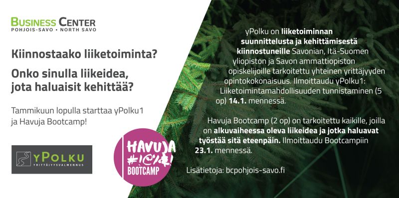 Business Center Pohjois-Savo on LinkedIn: #ypolku #havujabootcamp Business Center Pohjois-Savo on LinkedIn: #ypolku #havujabootcamp