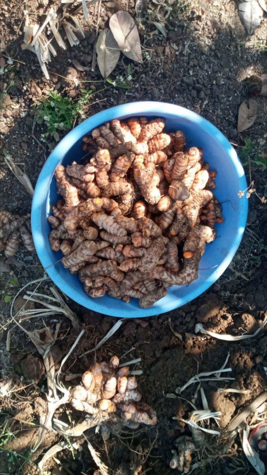 Dr. Sarika Kulkarni on LinkedIn: #climatesmartagriculture # ... Dr. Sarika Kulkarni on LinkedIn: #climatesmartagriculture # ...